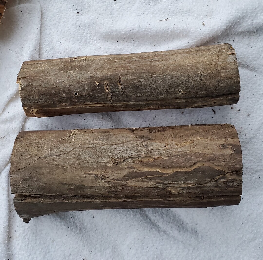 Weeping Willow Branches (2) Pieces Lot #59- 2 1/4" - 3" Thick About 9 ...