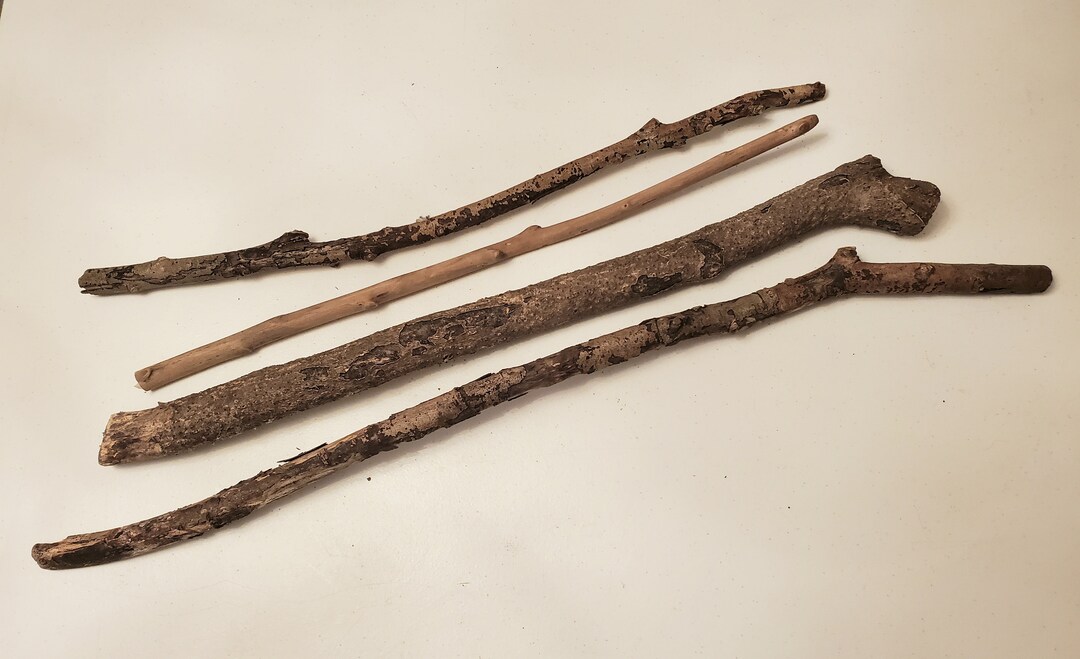 Weeping Willow Sticks Twigs Lot #50- 1/2"-1 5/8" Thick -4 Pieces 19"-27 ...