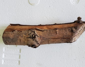 Weeping Willow Sticks Twigs Lot #50- 1/2"-1 5/8" Thick -4 Pieces 19"-27 ...