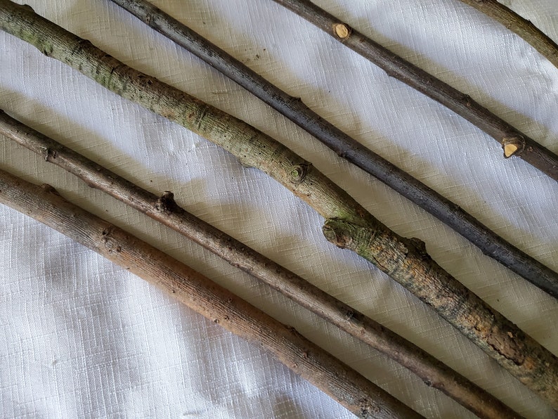 Weeping Willow Sticks Twigs Lot #38- 3/8"-5/8" Thick -6 Pieces 21"-28 ...