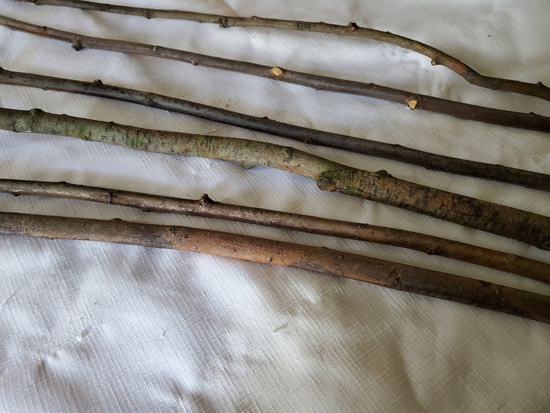 Weeping Willow Sticks Twigs Lot #38- 3/8"-5/8" Thick -6 Pieces 21"-28 ...