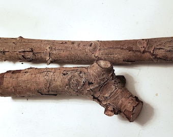 Weeping Willow Sticks Twigs Lot #50- 1/2"-1 5/8" Thick -4 Pieces 19"-27 ...