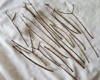 Weeping Willow Sticks Twigs Lot #50- 1/2"-1 5/8" Thick -4 Pieces 19"-27 ...