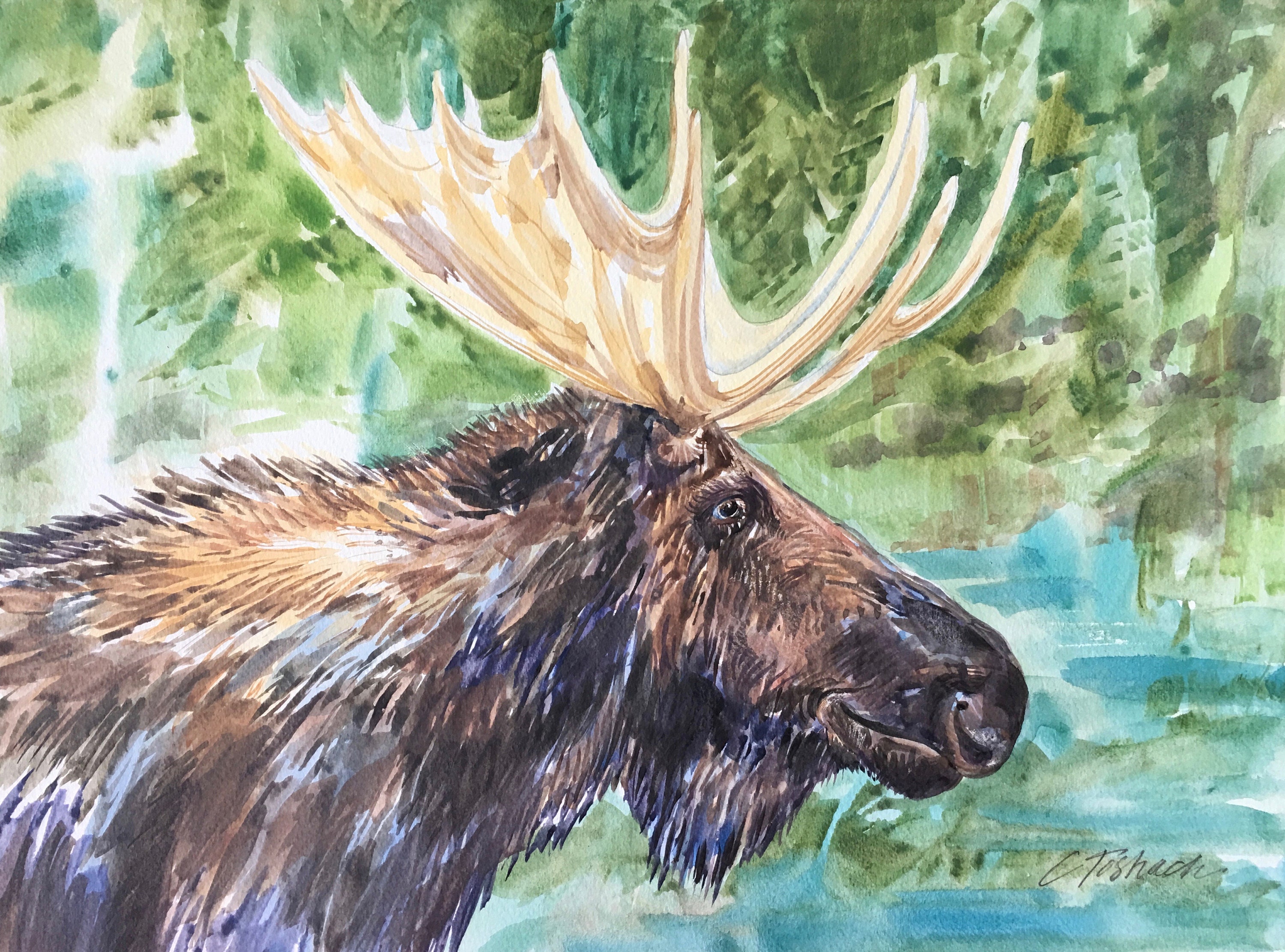 Print of Watercolor Painting Moose on the Loose | Etsy