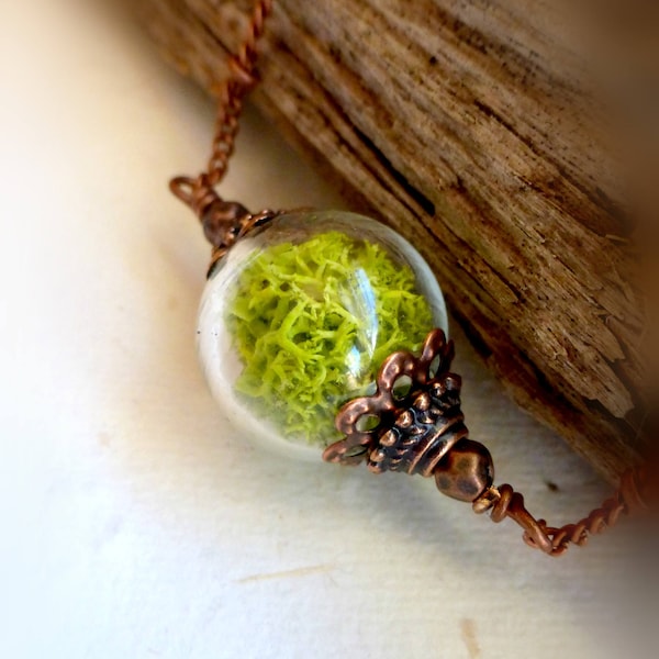 Terrarium Necklace - Etsy