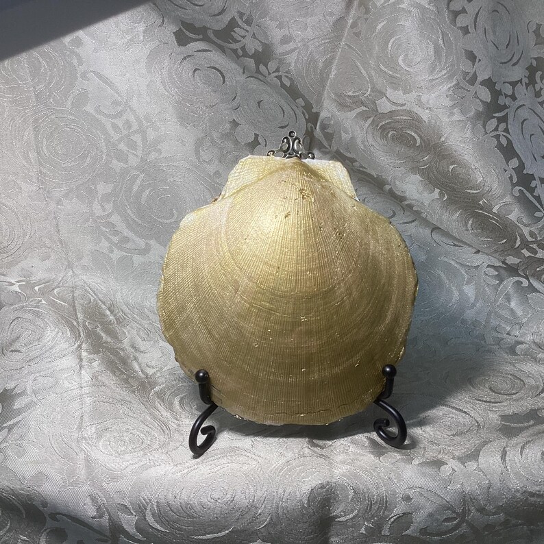 Mystical Moon Shell, Scallop, Oyster, Clam, Zen, Magical, Halloween ...