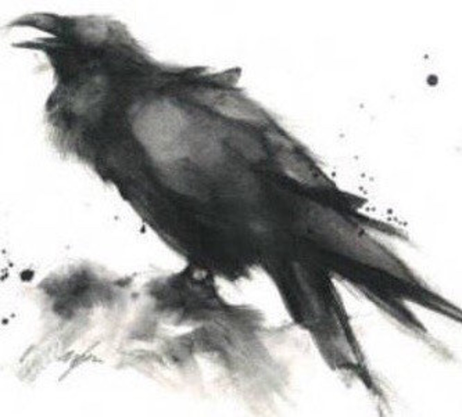 Croaking Raven Art Print, Animal Art Kids, Animal Prints Nursery ...