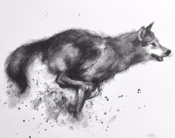 Running Wolf Sketch