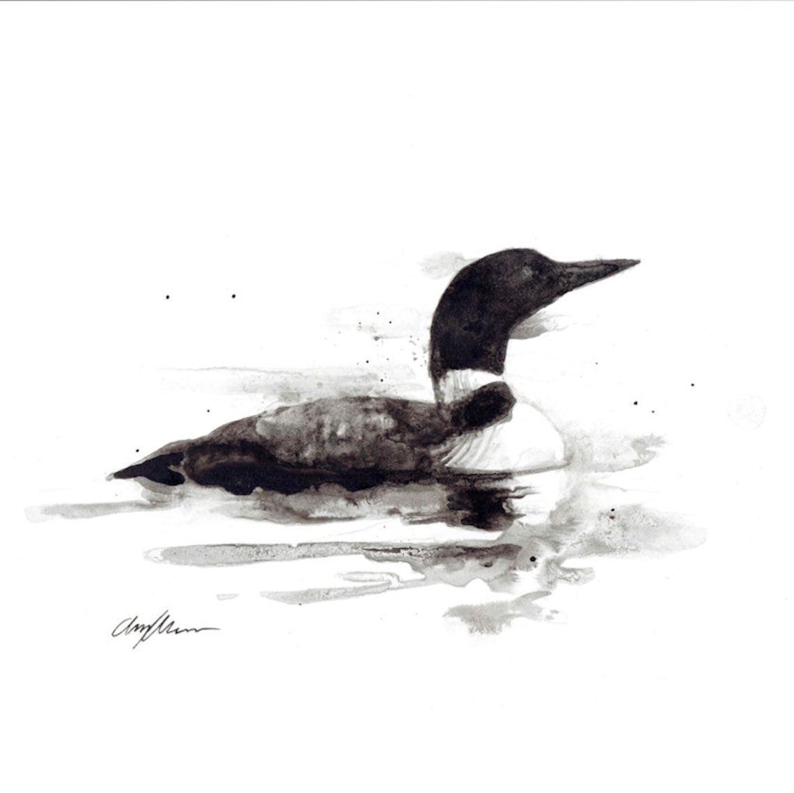 Loon Art Print Loon Artwork /animal Art Prints Animal Art - Etsy