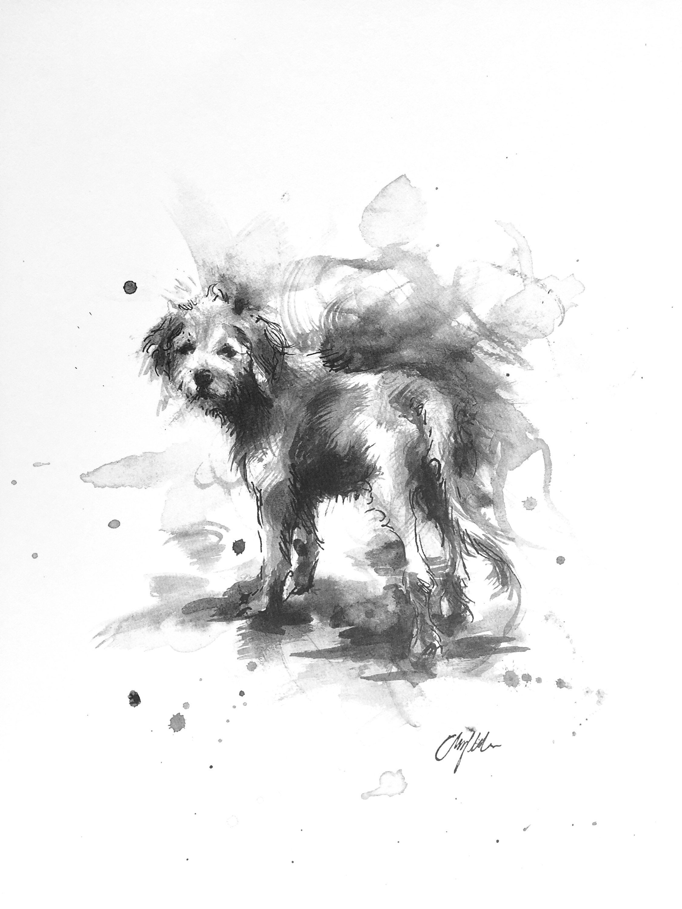 Muddy Puppy Artwork Animal Art Prints, Animal Art Kids, Animal Prints ...