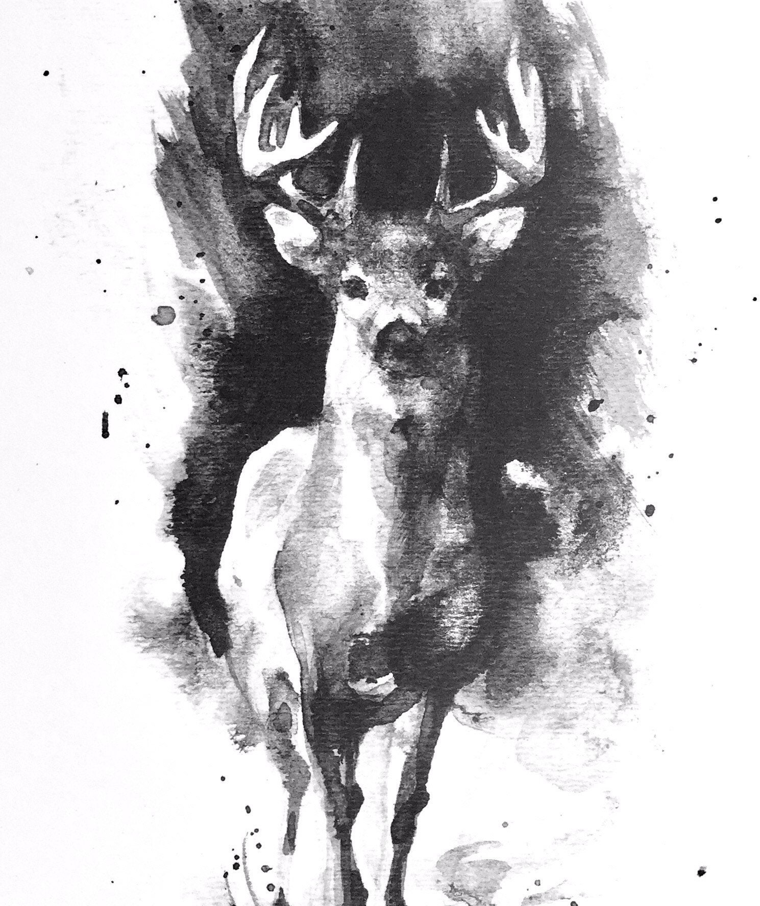 Stag Buck Deer Art Print, Animal Art Kids, Animal Prints Nursery ...