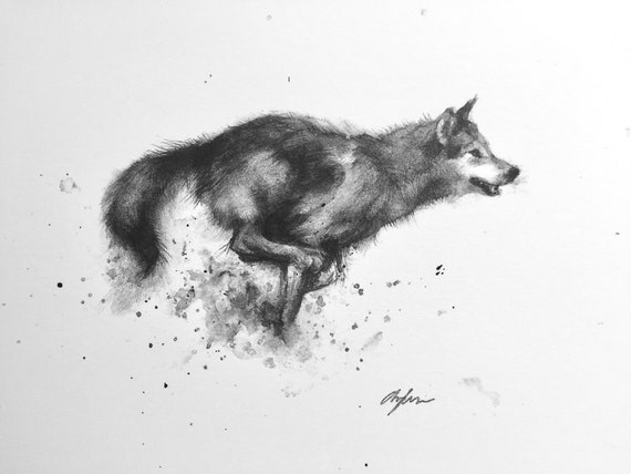 Running Wolf Drawing