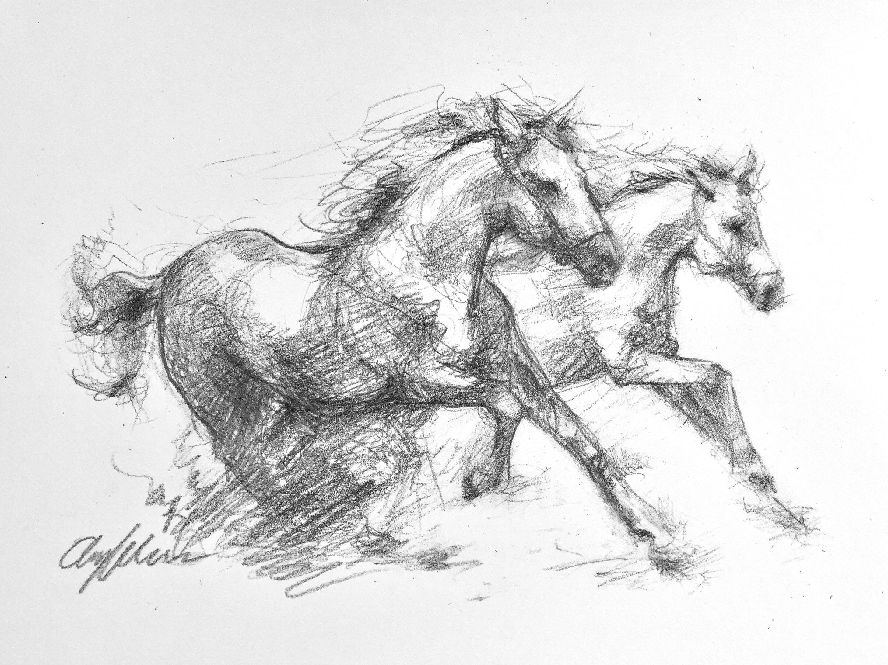 Two Horses Together Drawing