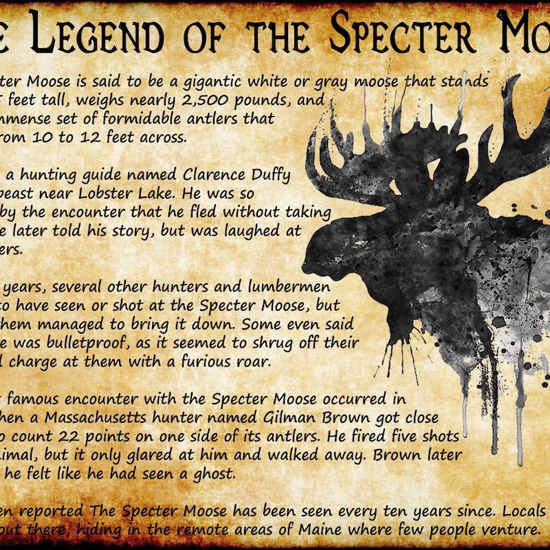 LuminousObscurityME - Etsy