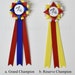 Deluxe Grand and Reserve Champion Model Horse Show Ribbons for 1:9 ...