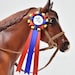 Deluxe Grand and Reserve Champion Model Horse Show Ribbons for 1:9 ...