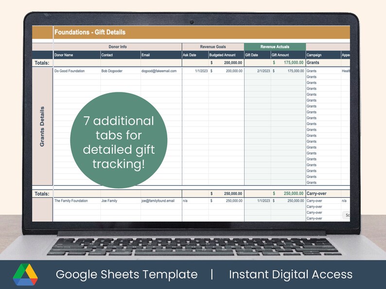 Expanded Edition - Nonprofit Annual Revenue Tracking Template | Google ...