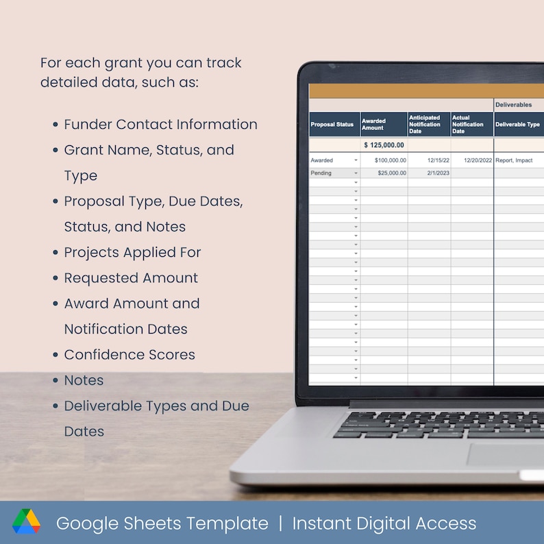 Nonprofit Grant Tracking Template | Google Sheets Workbook | Instant ...