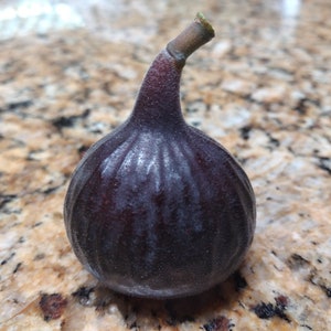 Ficus Palmata Hybrid Fig DFIC0023 - 2 Cuttings - Delicious Figs and ...