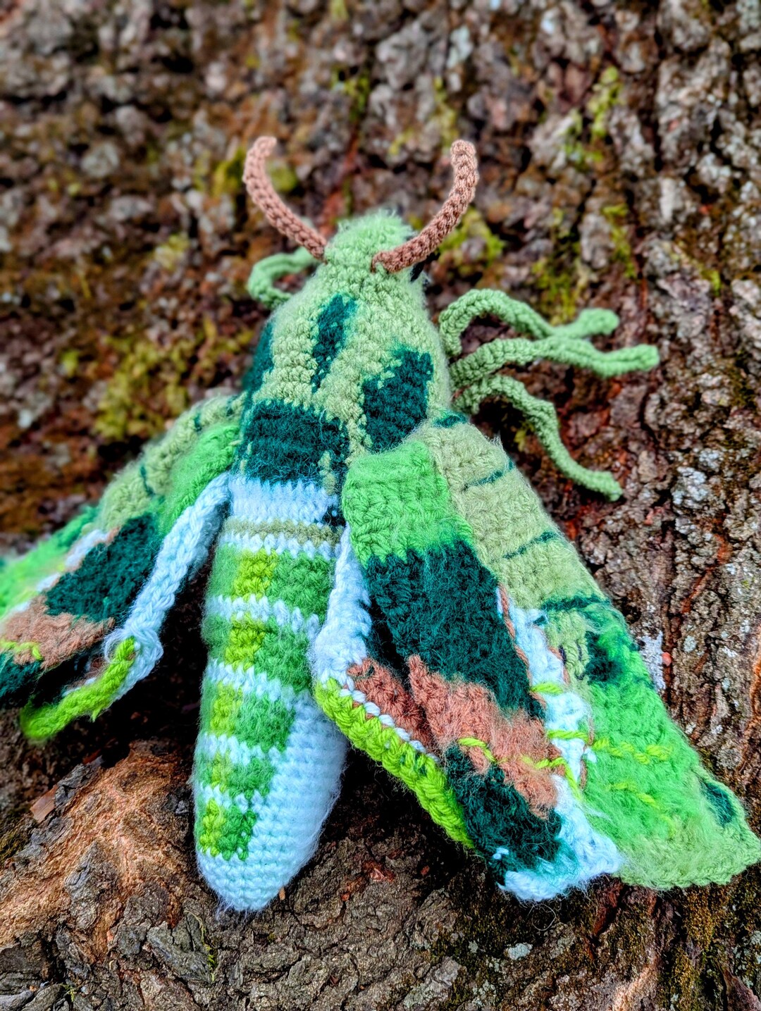 Made to Order Crochet Sphinx Moth Plush: Handmade Realistic Eumorpha ...