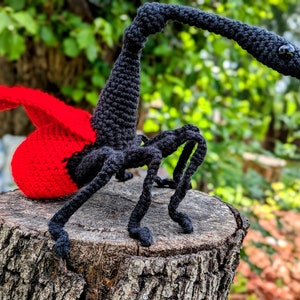 Made to Order! Madagascar Giraffe Weevil (trachelophorus Giraffa ...