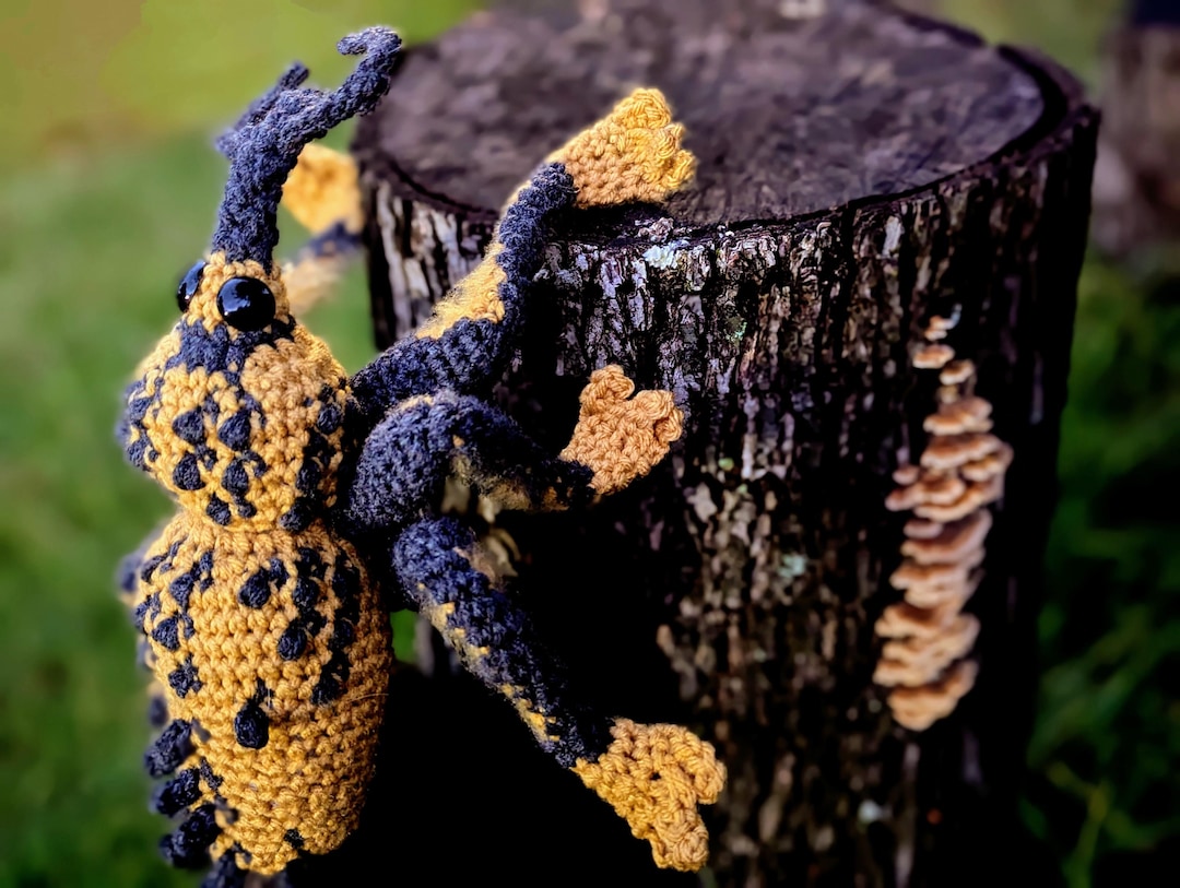 Made to Order! Brazilian Ozopherus Muricatus Pascoe Weevil Crochet ...