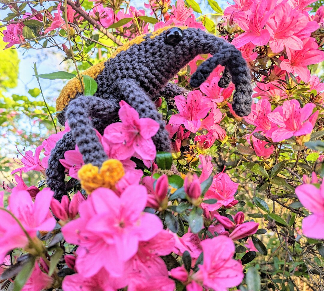 Made to Order! Bark Weevil (rhinastus Latesturnus) Crochet Plush You ...