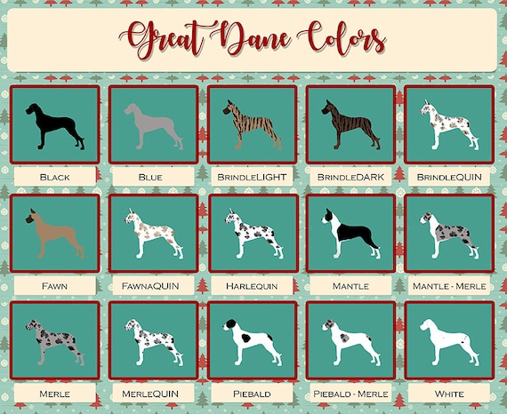 Great Dane Color Chart
