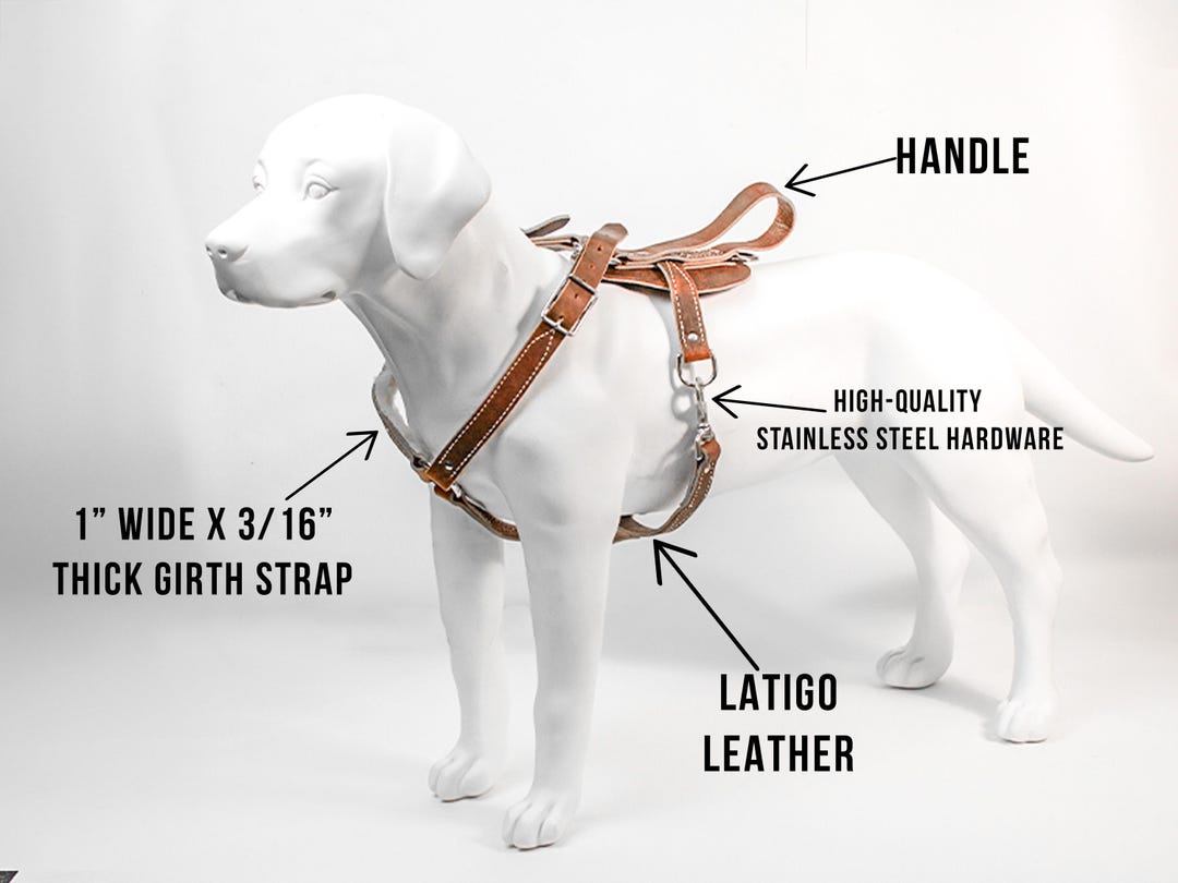 Leather Tracking Harness With Handle - Latigo Leather by Leerburg - Etsy
