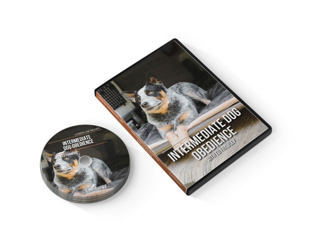 Leerburg's Intermediate Dog Obedience DVD - Etsy
