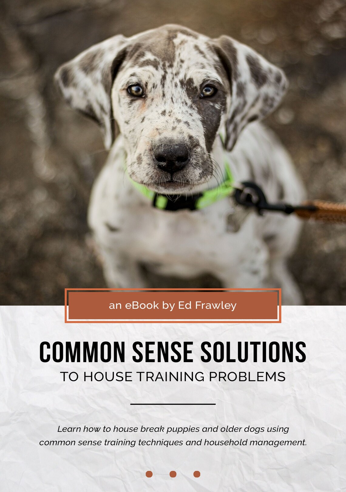 Common Sense Solutions to House Training Problems Ebook - Etsy