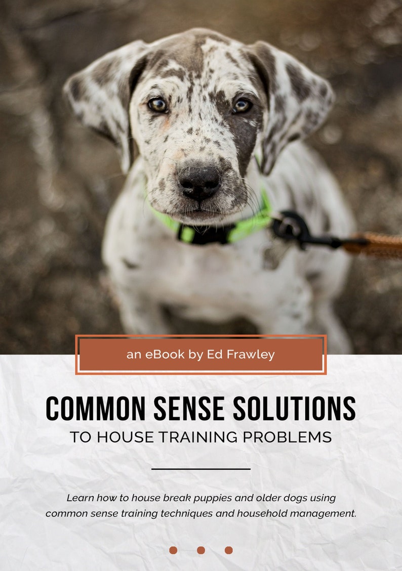 Common Sense Solutions to House Training Problems Ebook - Etsy