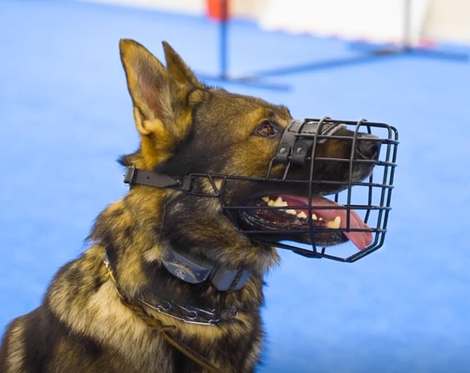 Biothane Dog Muzzle - Etsy
