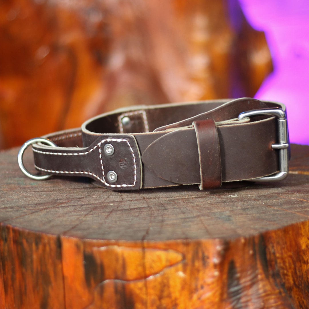 2" Collar With Handle Latigo Leather by Leerburg - Etsy