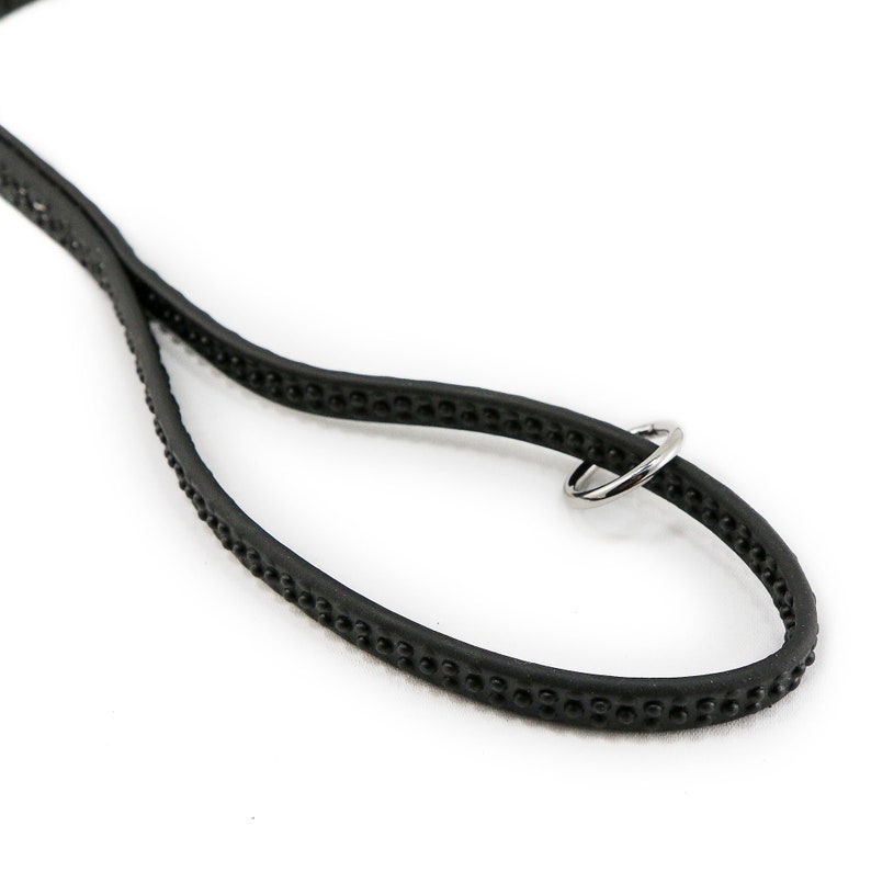 Leerburg's Textured Biothane Belt Lead With Stainless - Etsy Ireland