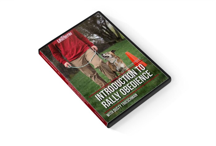 Rally Sign Holder - Etsy