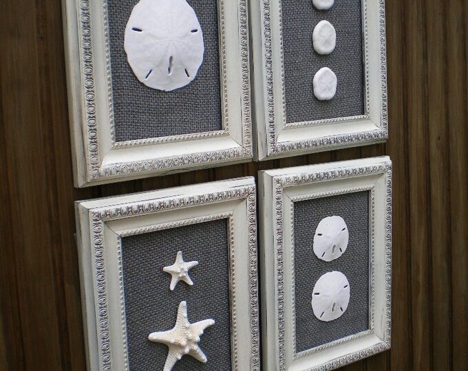 Cottage Chic Sea Shell Wall Art, Sea Shell Home Decor, Coastal Decor ...