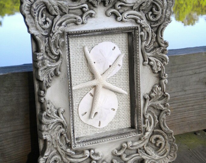 Beach Decor, Cottage Chic Sea Shell Wall Art, Sea Shell Home Decor ...