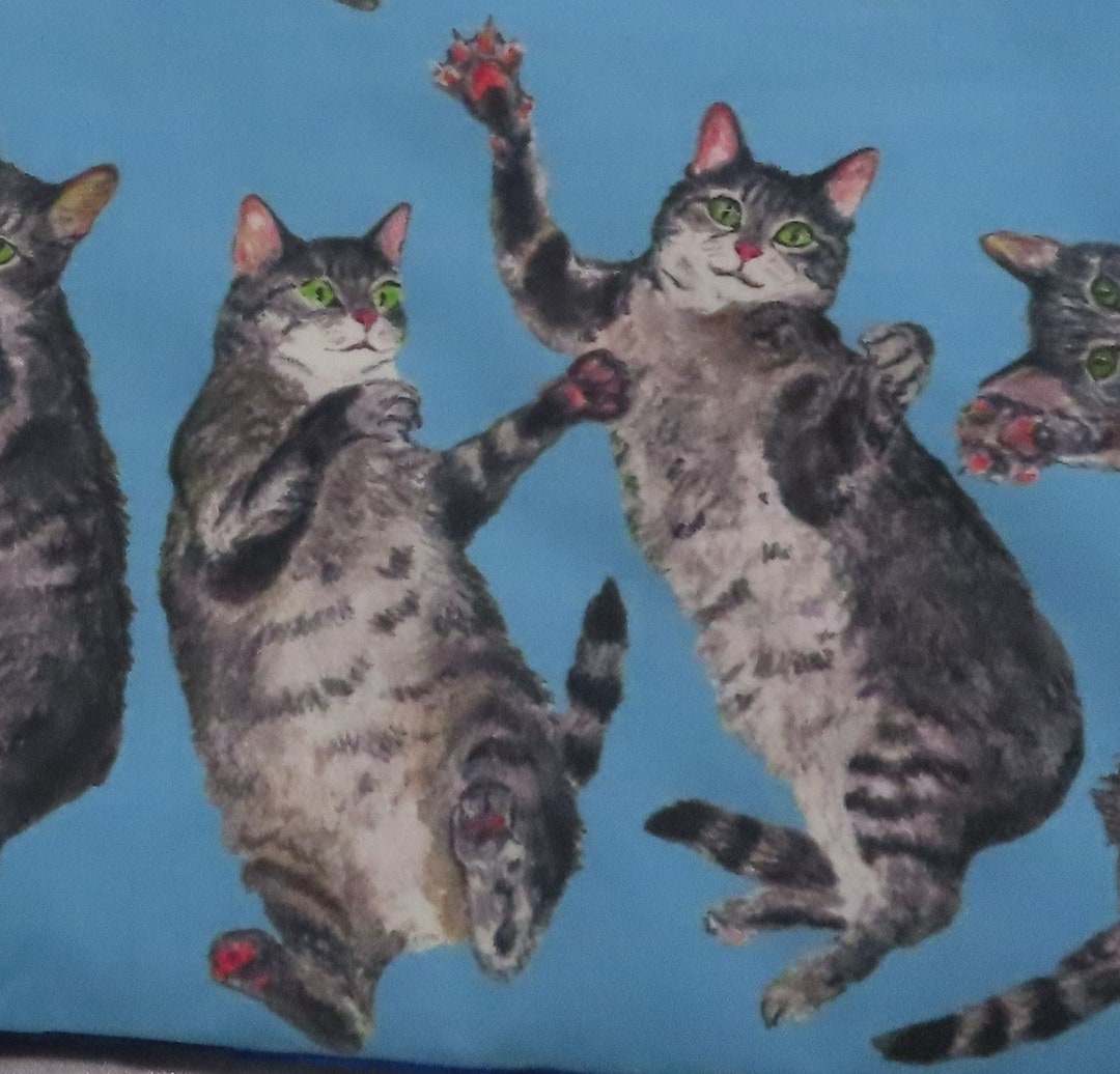 Blue Crinkle Catnip Pad, Refillable Catnip Mat, Crinkle Catnip Pad ...