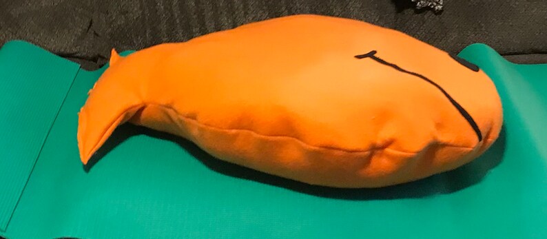 Fish Design Cat Bed, Unique Cat Bed, Unique Pet Beds, Pillow, Pet ...