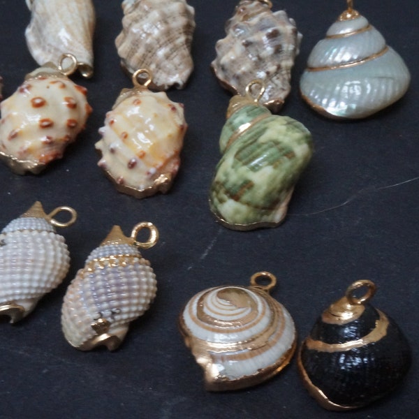 Sea Shell Pendant - Etsy