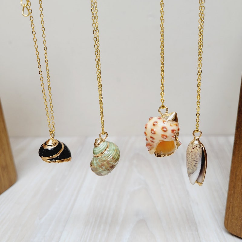 Sea Shells Jewelry - Etsy
