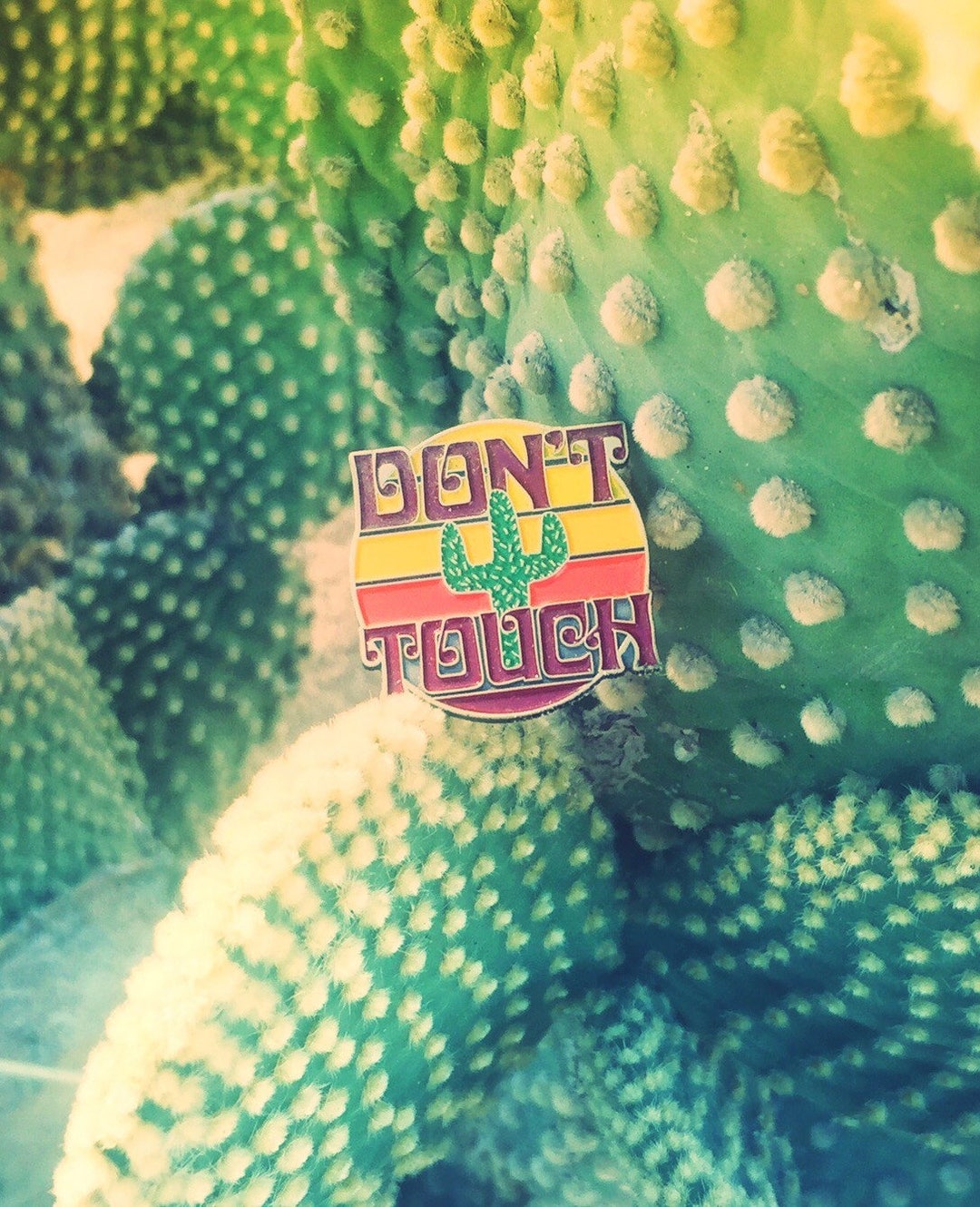 Don't Touch Desert Pin - Etsy