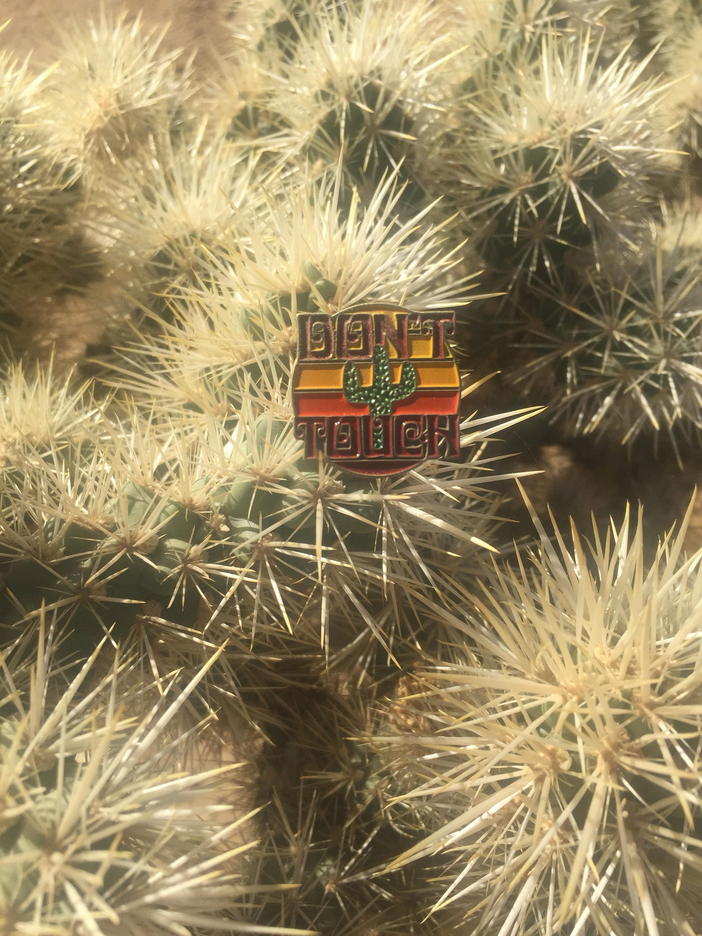 Don't Touch Desert Pin - Etsy