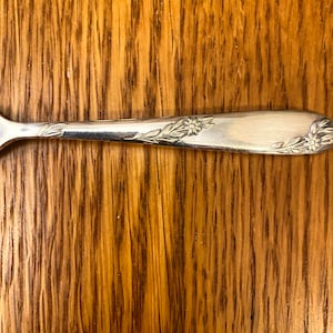 Angora EPNS, County, Boxed Dessert Set, 6 Dessert Forks, 6 Teaspoons ...
