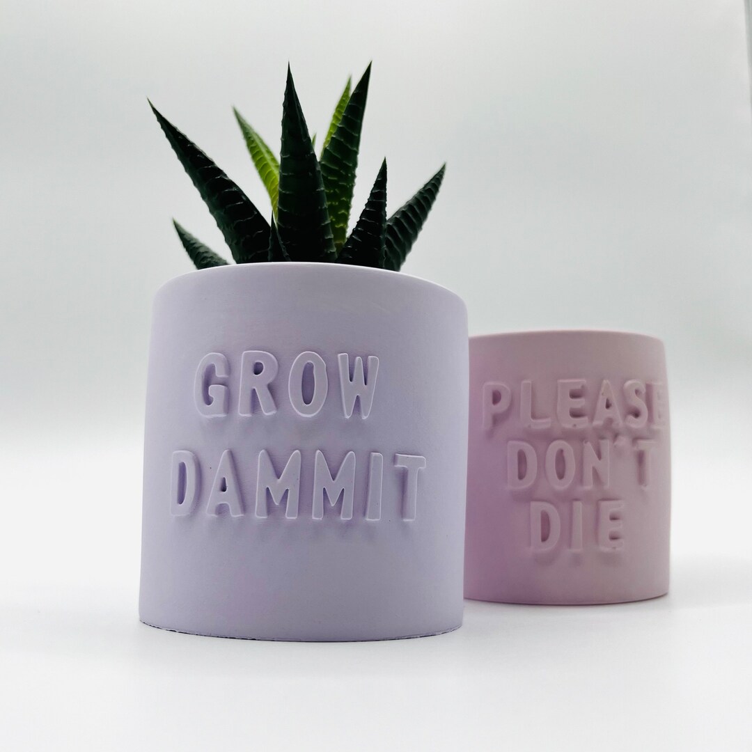 GROW DAMMIT Flowerpot for Cacti or Succulents Pastel-colored Raysin ...