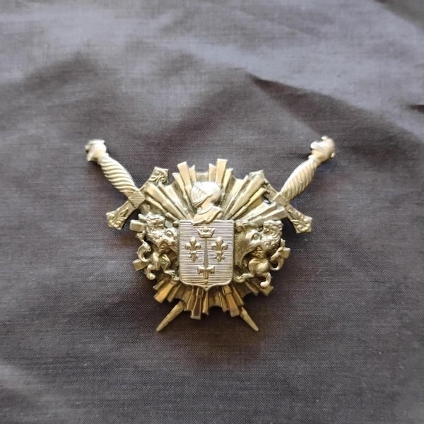 Lion Crest Brooch - Etsy