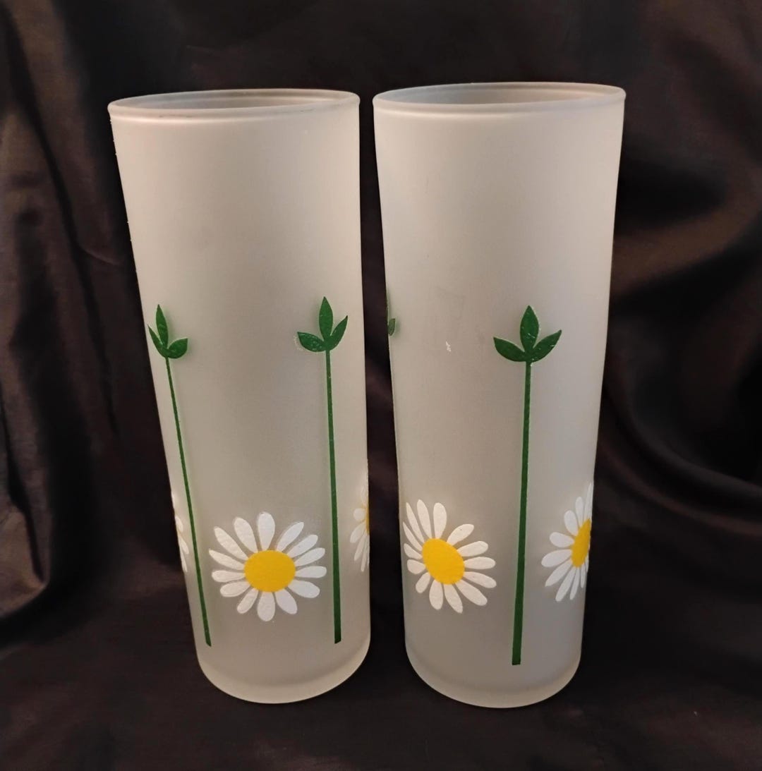 Vintage Flower Power Tall Cooler Glasses, Set of 2 Frosted Daisy ...