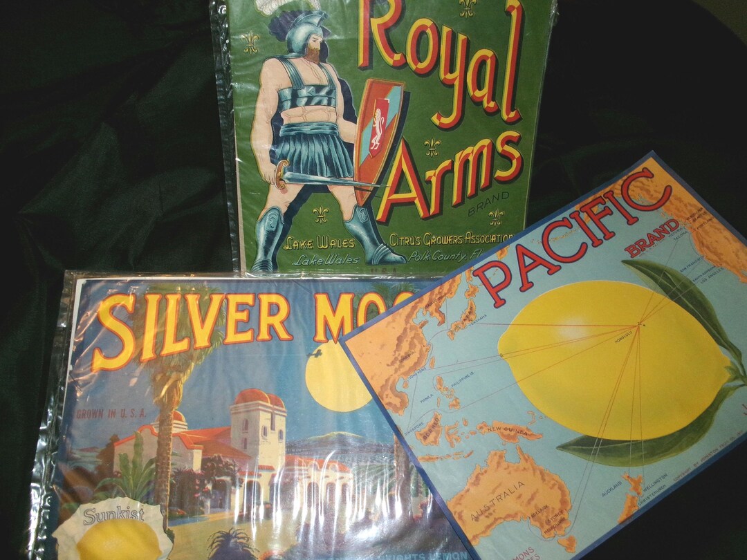 Vintage Fruit Label Art, Advertising Art 3 Pieces, Citrus Theme ...