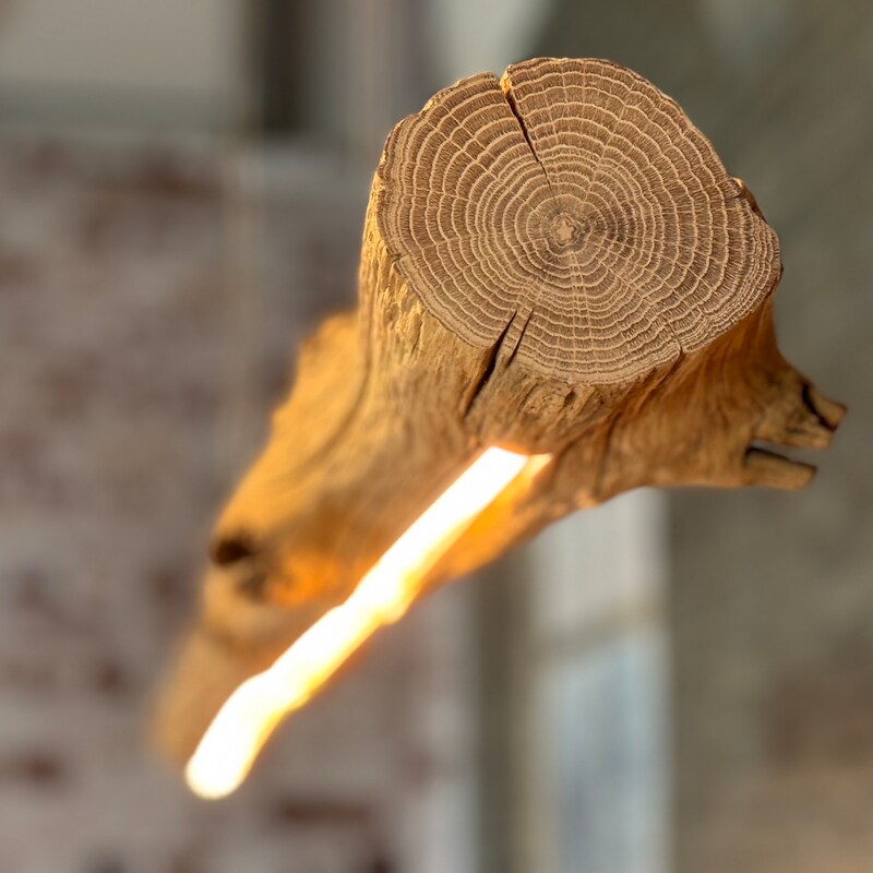 Tree Branch Lamp - Etsy
